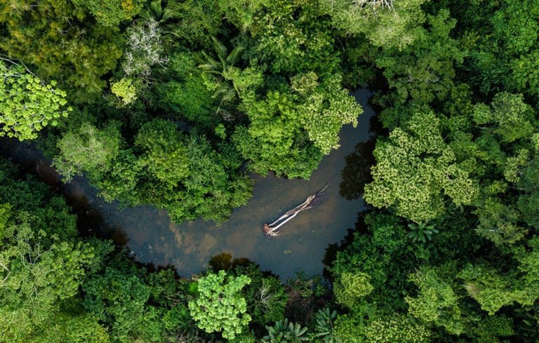 Mais da metade do carbono orgânico armazenado no solo brasileiro está ...
